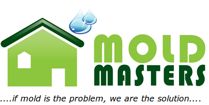 How to Get Mold & Mildew Out Of Clothes | Mold Removal Service Orange ...