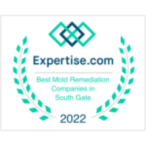 Mold Inspection & Removal Los Angeles | Mold Remediation in Southern ...